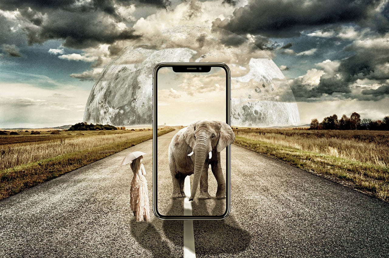 Apple's Three New iPhones Coming in September